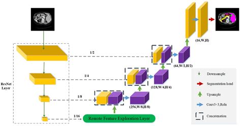 Rfe Unet Remote Feature Exploration With Local Learning For Medical Image Segmentation