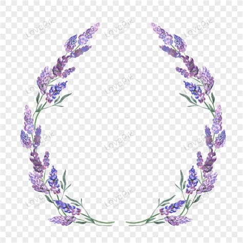 꽃과 둥근 프레임 Png 일러스트 무료 다운로드 Lovepik