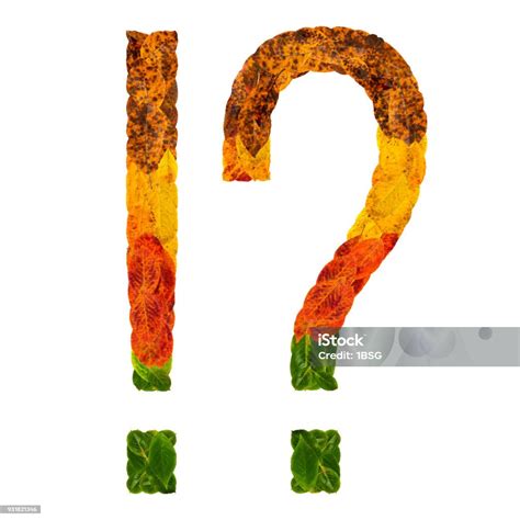 가 잎 밝은 편지 느낌표 마크 Interrogative 기호입니다 생활 자연 멀티 레이어 나뭇잎에 고립 된 흰색 배경 다채로운 문자 알파벳 문자 폰트입니다 0명에 대한 스톡