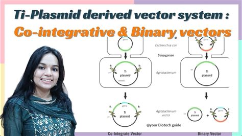 Co Integrative And Binary Vector System Basic Protocol For