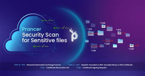 Sensitive Files Iac Security Scanner Automated Pentesting