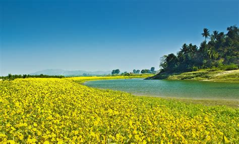 Free Images Landscape Horizon Sky Field Farm Meadow Prairie