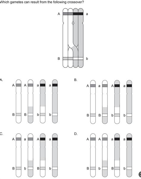 Crossover Genes Ib Bio Practice Question Solving Entermedschool Future Doctors Forums
