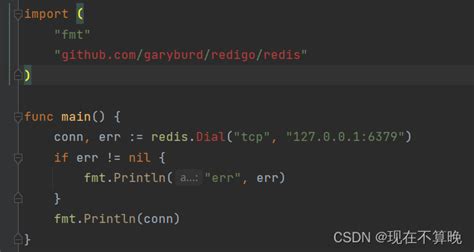 Go 操作redis包报红go Require引用报红github Csdn博客