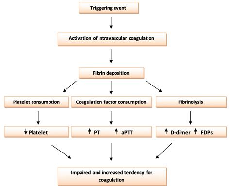 D Dimer Fibrinogen At Johanna Reed Blog