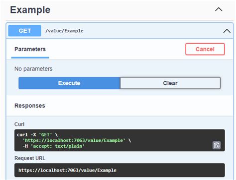 C Bind Custom Attribute Value To Route Constraint Stack Overflow