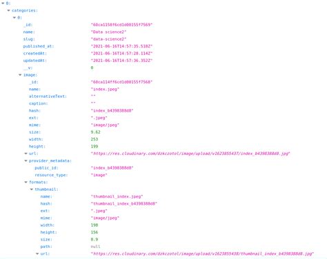 How To Setup Cloudinary In A Strapi Project Step Coding