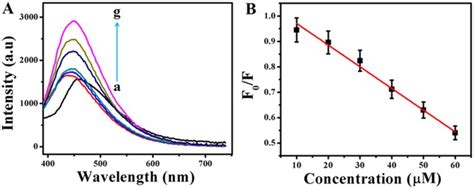 Multimodal Sensing Strategy Using Ph Dependent Fluorescence Switchable