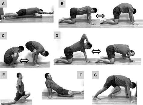Semi Customized Prevention Exercise A Trunk Stabilization Exercises