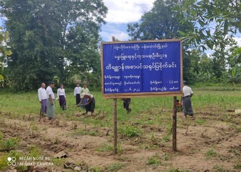 ပန်းတောင်းမြို့နယ်၌ မိုးရာသီ တိရစ္ဆာန် အစာပင်စိုက်ပျိုး Information And Public Relations