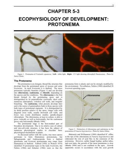 Protonema Bryophyte Ecology