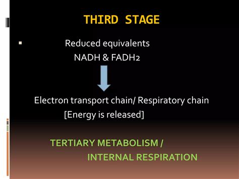 Oxidation Of Food Stuffs And Redox Potentials Pptx