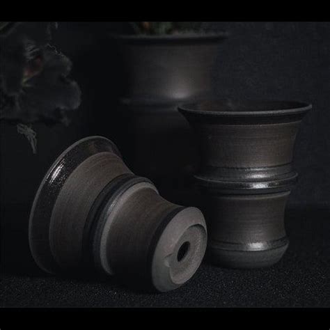 [ every single spine 一本刺 ] 【 暗反應 dark reaction】 black raven [ every