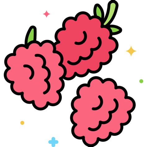 Raspberry Generic Outline Color Icon Raspberry Generic Outline Color Icon