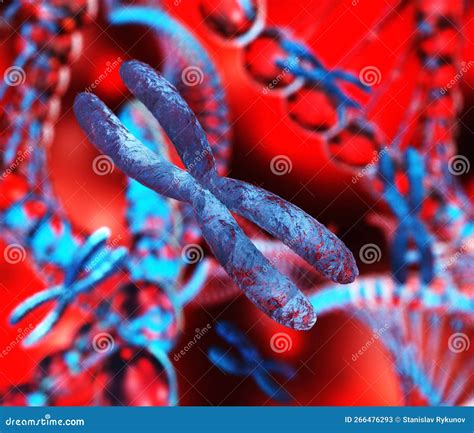 Human Gene X Chromosome Stock Illustration Illustration Of Molecule