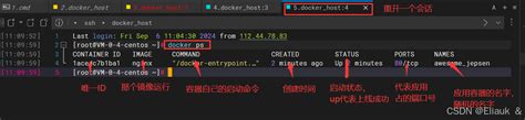【docker】命令之容器操作 docker运行容器 csdn博客
