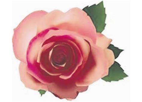Effie Bestwick Obituary 2016 Legacy Remembers