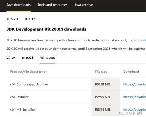 java开发环境jdk安装验证2023新 jdk20不需要配置环境变量吗 csdn博客