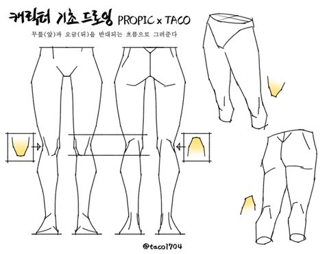 「무릎 앞 과 오금 뒤 부위를 거꾸로 된 흐름으로 그려준다」타코작가の漫画