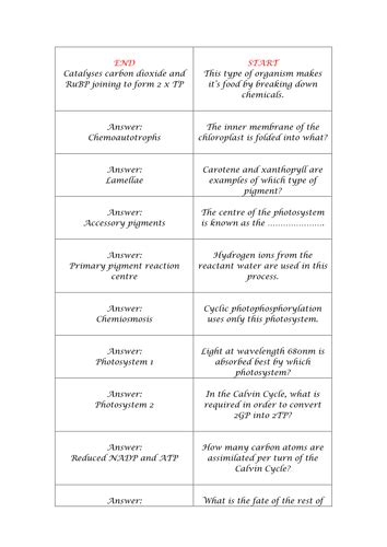 F214 Photosynthesis Revision Loop Game Teaching Resources