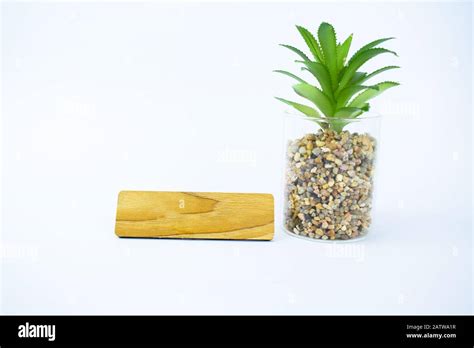 Tree Name Plate Hi Res Stock Photography And Images Alamy