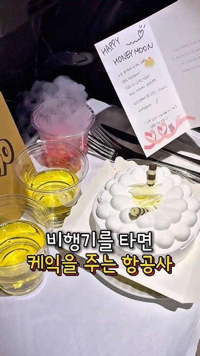 특별한 날 비행기에서 케이크를 받을 수 있는 방법 리뷰 싱가포르항공 Youtube