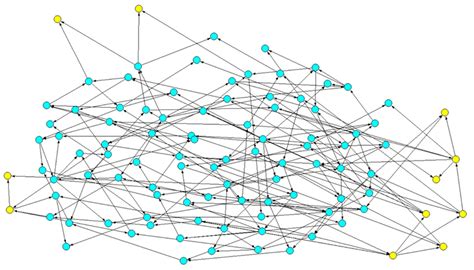 Attractor Specific And Common Expression Values In Random Boolean