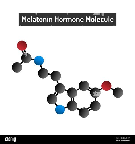 Melatonin Hormone Molecule Regulation Of Sleep Circadian Rhythms And Health Benefits Stock