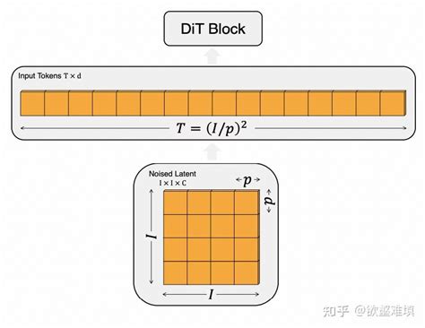 Diffusion Transformer模型结构简析（dit、sd3、flux） 知乎