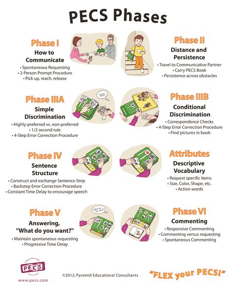 Different Shapes Of Pecs At Randee Andes Blog