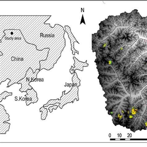 Classification And Regression Tree Cart Partition Of Burn Severity Of Download Scientific