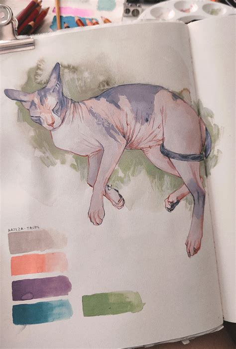 Accepted Into My Dream School Rarttherapy