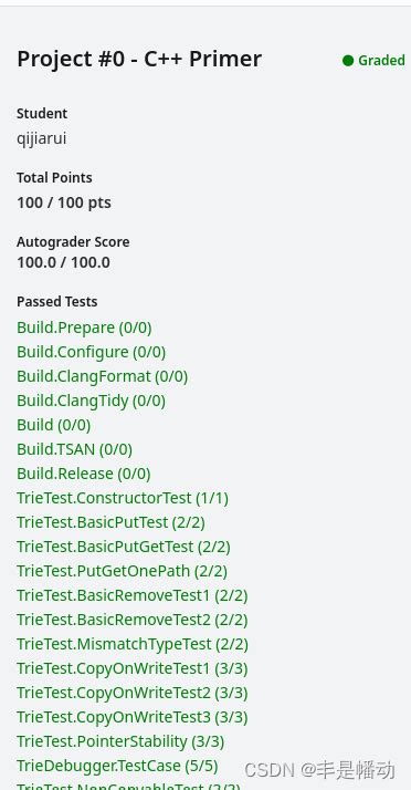 Cmu15445 2023fall Project0详细过程15445 2023 Fall Csdn博客