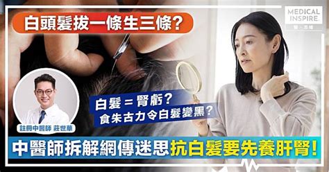 白頭髮會愈拔愈多？中醫師拆解網傳迷思 推薦天然中藥白髮變黑髮 Medical Inspire 醫．思維 Line Today