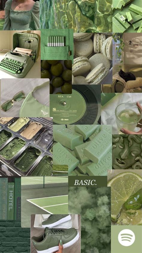 100 Olive Green Aesthetic Wallpapers