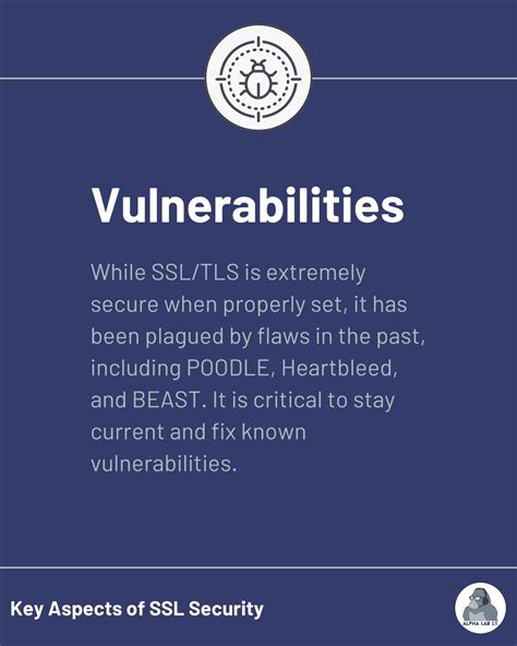 alpha lab it consulting on linkedin webdevelopment html css
