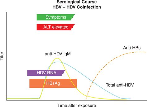 Hepatitis Obgyn Key
