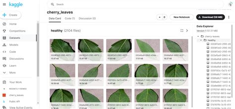 Github Ssreelakshmi88mildew Detection Cherry Leavesmilestonepp5