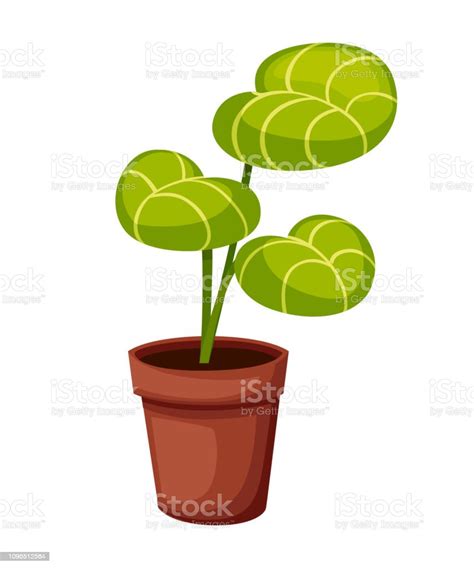 냄비에 공장 실내 및 실외 조 경 정원 화분에 심는 식물 현대적이 고 우아한 가정 장식 벡터 일러스트 레이 션 흰색 배경에 고립 0명에 대한 스톡 벡터 아트 및 기타 이미지