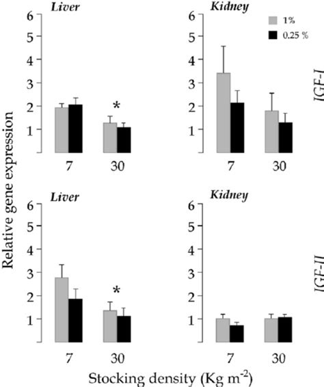 A Relative Abundance Of Igf I Igf Ia Igf Ib And Igf Ii In Liver At 7