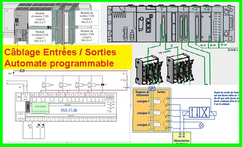 Câblage Entrées Sorties Automate Programmable Cour Electrique
