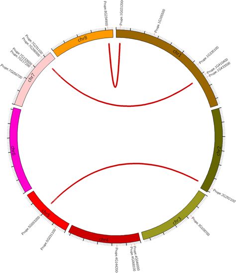 Chromosomal Location Of Hsf Genes In Peach Pphsfs Three Syntenic