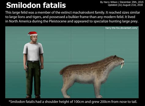 Smilodon Fatalis Size By Harry The Fox On Deviantart