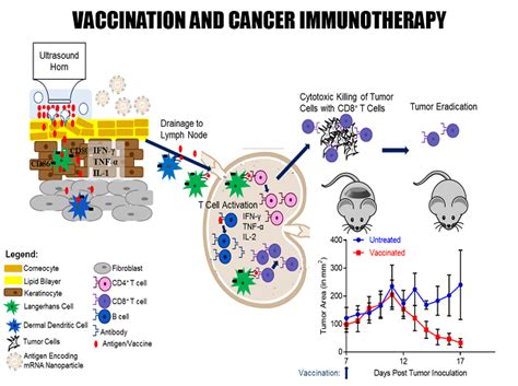 Research Db Group Mit Cheme