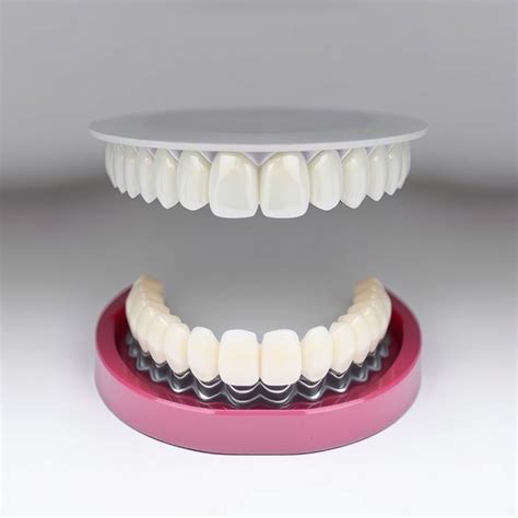 The Complete Guide To The Average Cost Of Bottom Braces