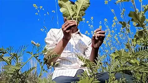 Desi Boy Sex Video Bodybuilder Indian Gay Amateur Porn By Faphouse