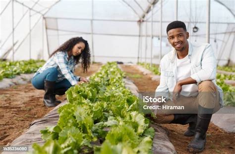온실 지속 가능성 농업 및 건강 식품 환경에서 여성 흑인 남성 및 상추 농민 초상화 미소 및 행복한 정원 노동자 잎 식물 채소의 팀워크 협업 고추류에 대한 스톡 사진 및
