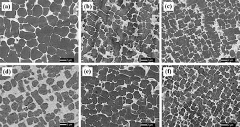 Microstructures Of Nialmore Alloy In Dendrite Core At 1550℃ Download Scientific Diagram