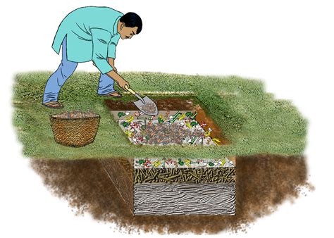 Agriculture Pit Composting 06 India Iycf Image Bank