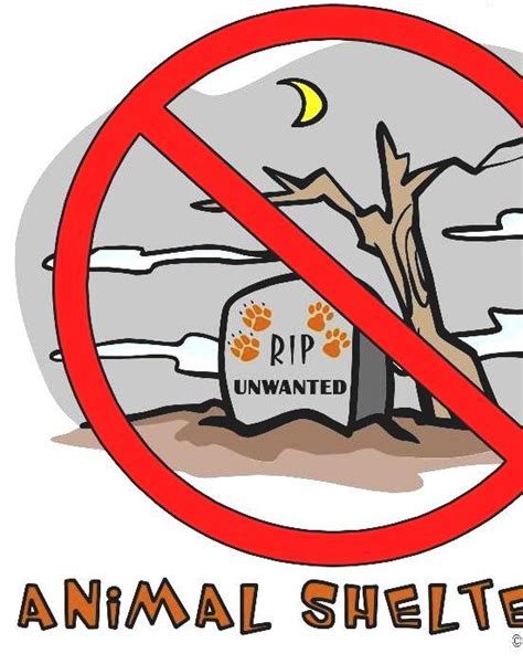 No Kill Shelter Non Kill Dog Shelters